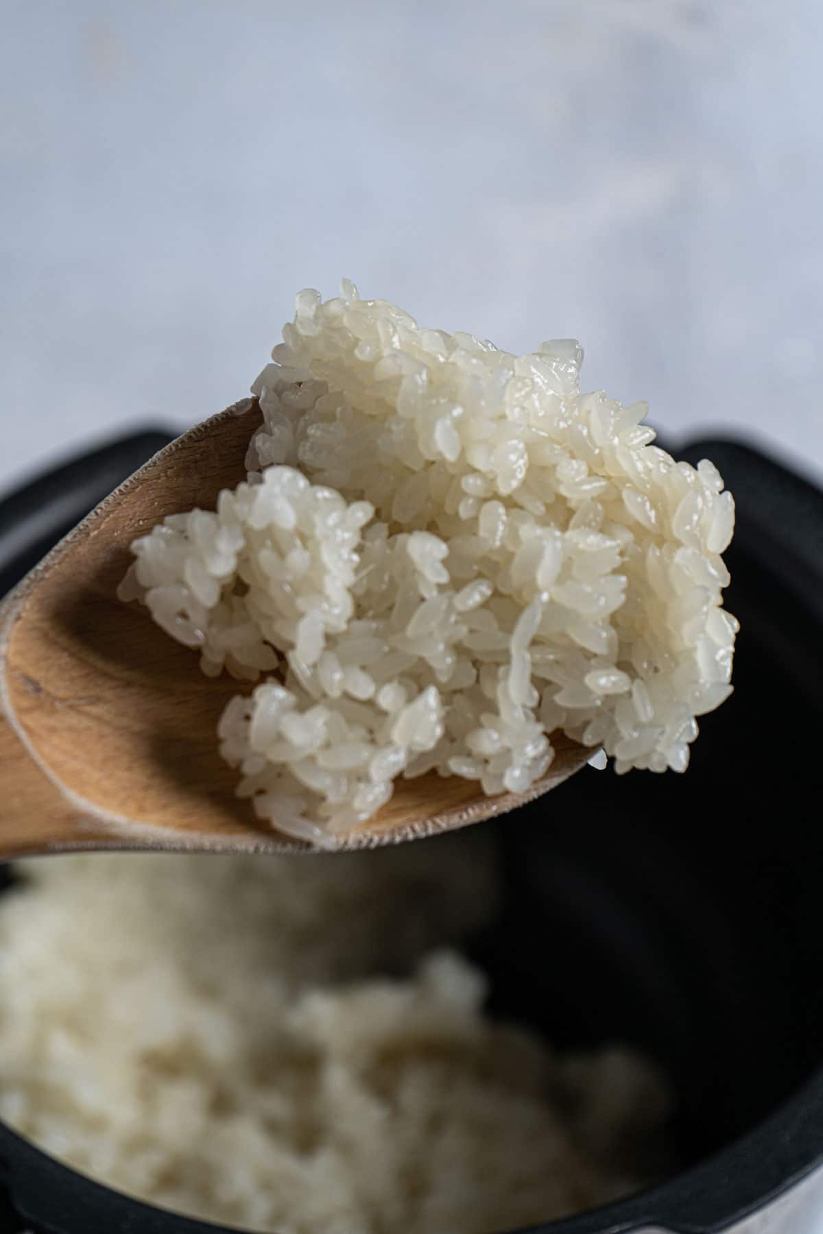 Taiwanese Sticky Rice (You Fan 油飯) - Cooking in Chinglish